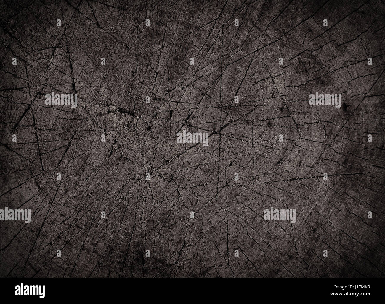 Schwarzen geknackt Querschnitt der Baum Stamm und stumpf Textur ...