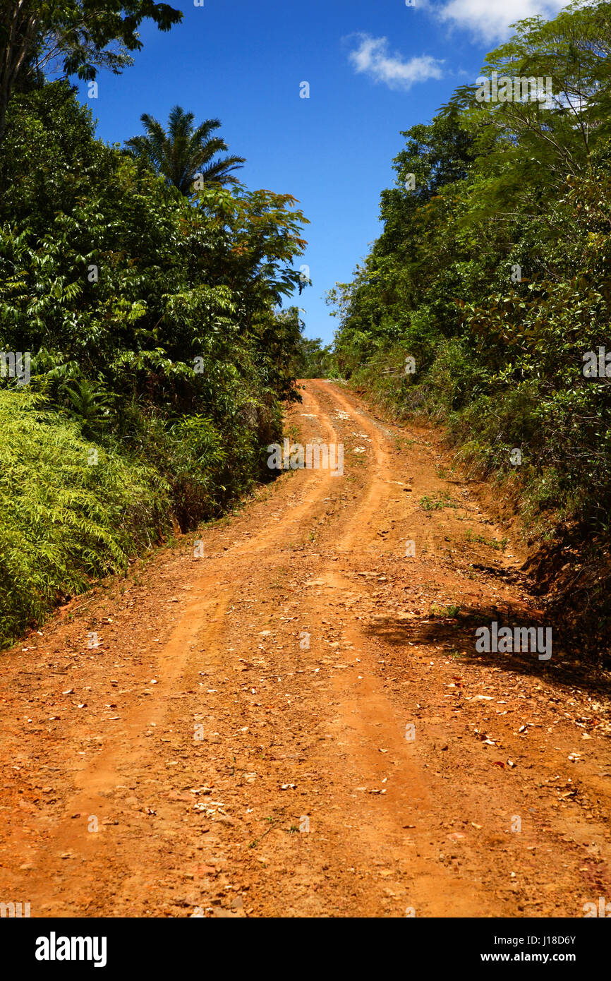 Sandweg in Ecoparque de Una, Atlantik, Regenwald, Mata Atlântica, Bahia ...
