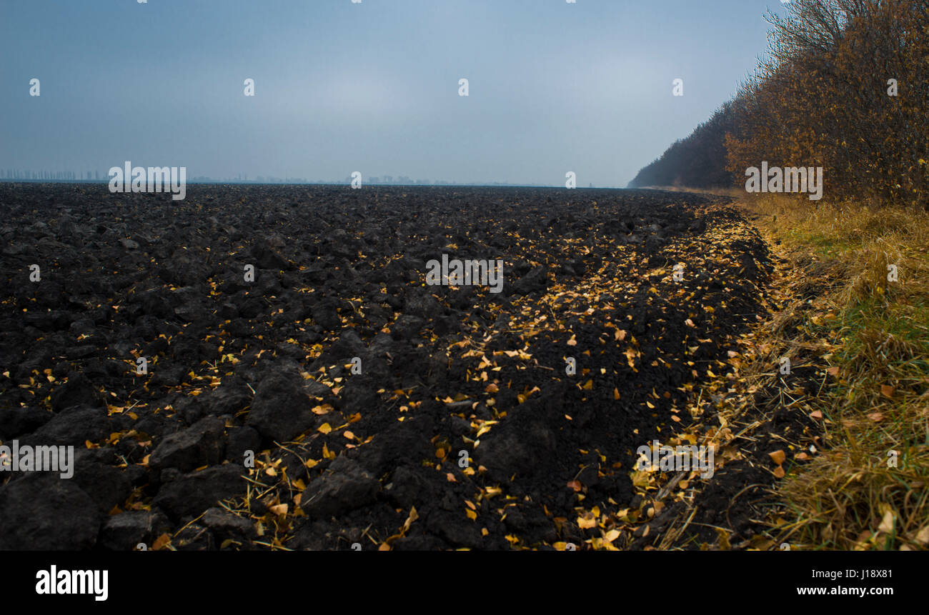 Schwarzerde der Ukraine, schwarzer Erde land Stockfotografie - Alamy
