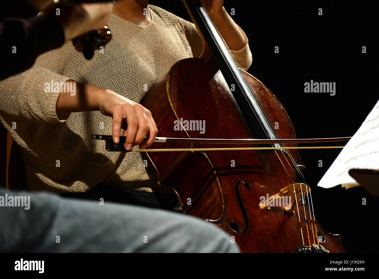 Musiker Spielt Sein Cello Stockfotos und -bilder Kaufen - Alamy