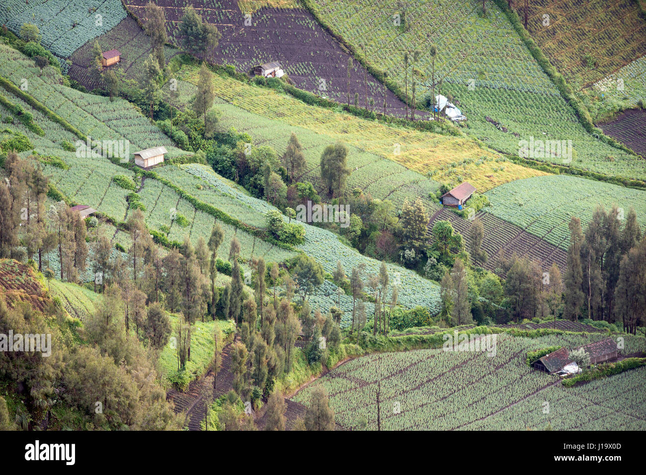 Fruchtbare Tradition Stockfotos und -bilder Kaufen - Alamy