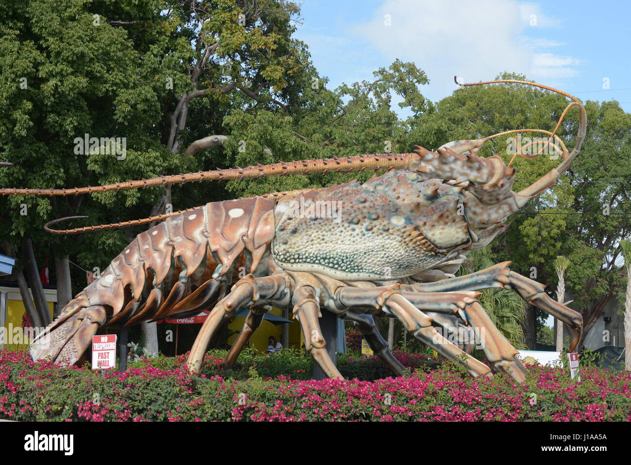 Large lobster -Fotos und -Bildmaterial in hoher Auflösung – Alamy