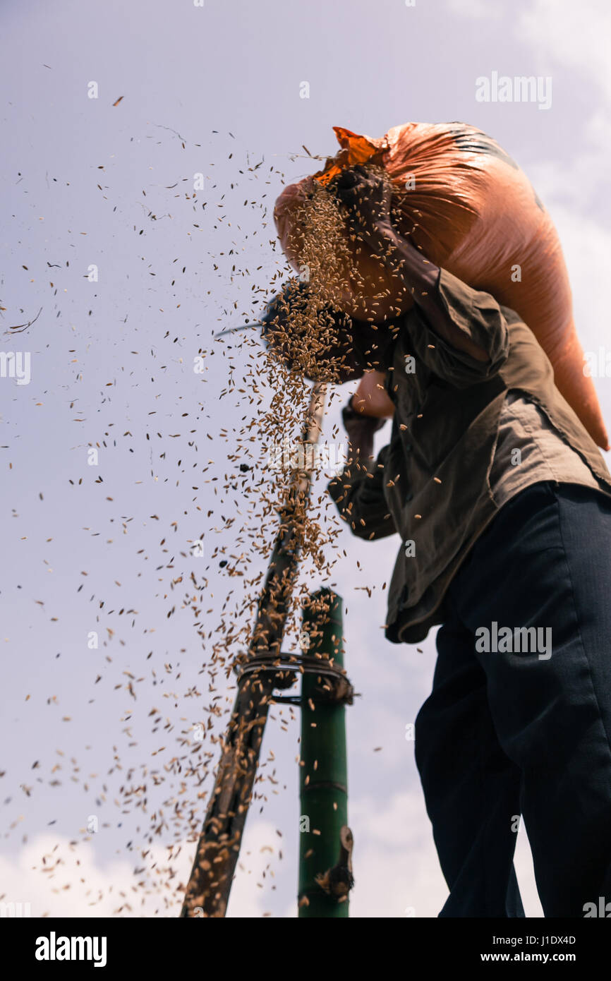 Traditionelle techniken der landwirtschaft -Fotos und -Bildmaterial in ...