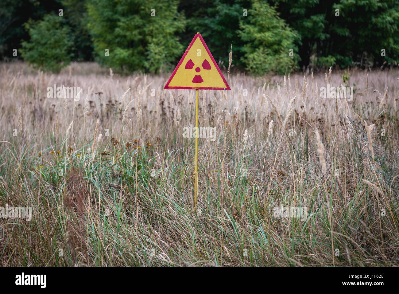 Red Forest Chernobyl Disaster Stockfotos und -bilder Kaufen - Alamy