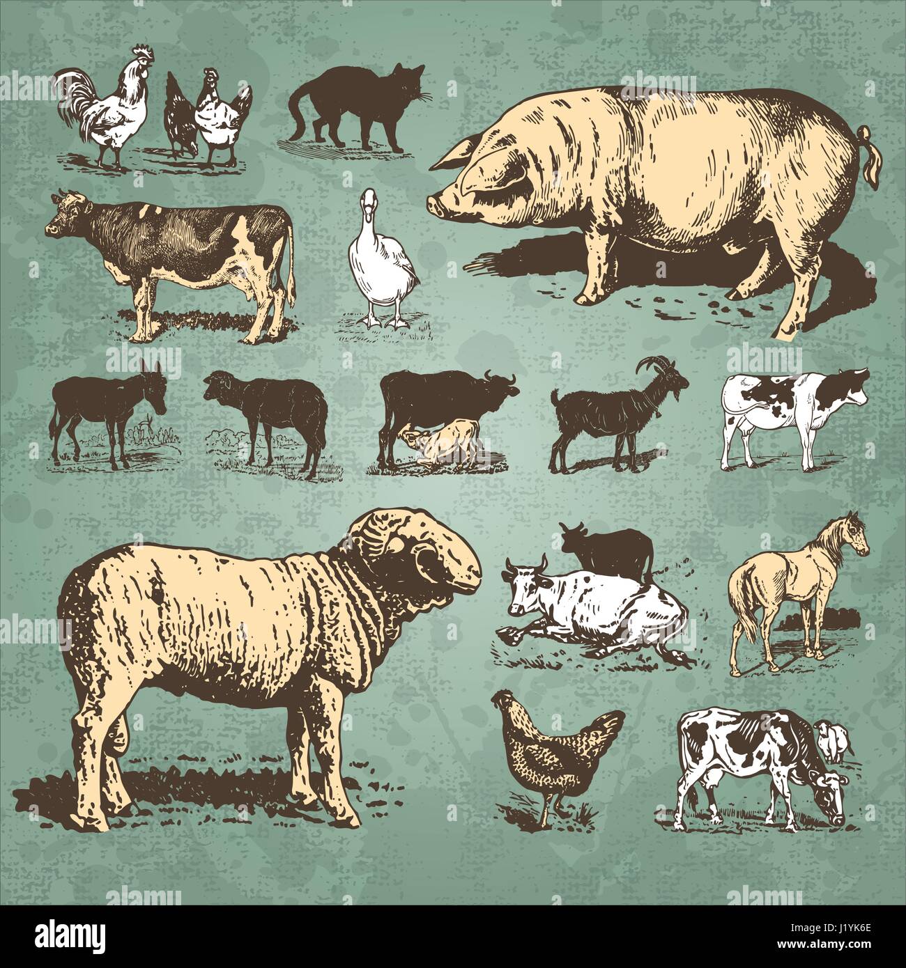 Schaf zeichnung -Fotos und -Bildmaterial in hoher Auflösung – Alamy