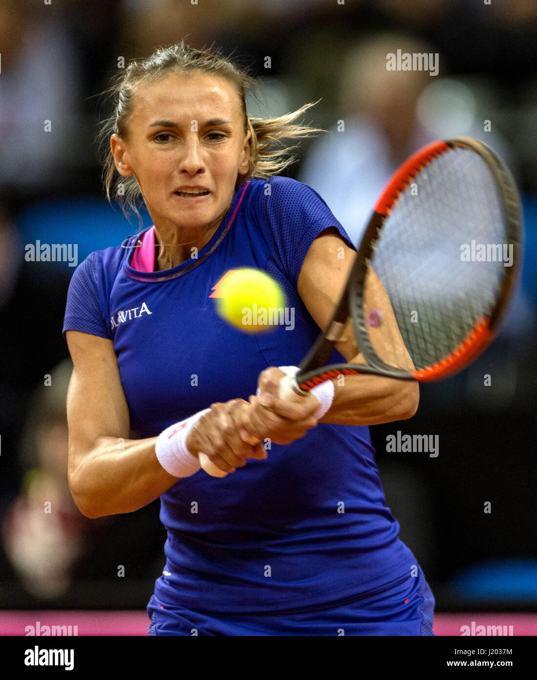 Lessia zurenko -Fotos und -Bildmaterial in hoher Auflösung – Alamy