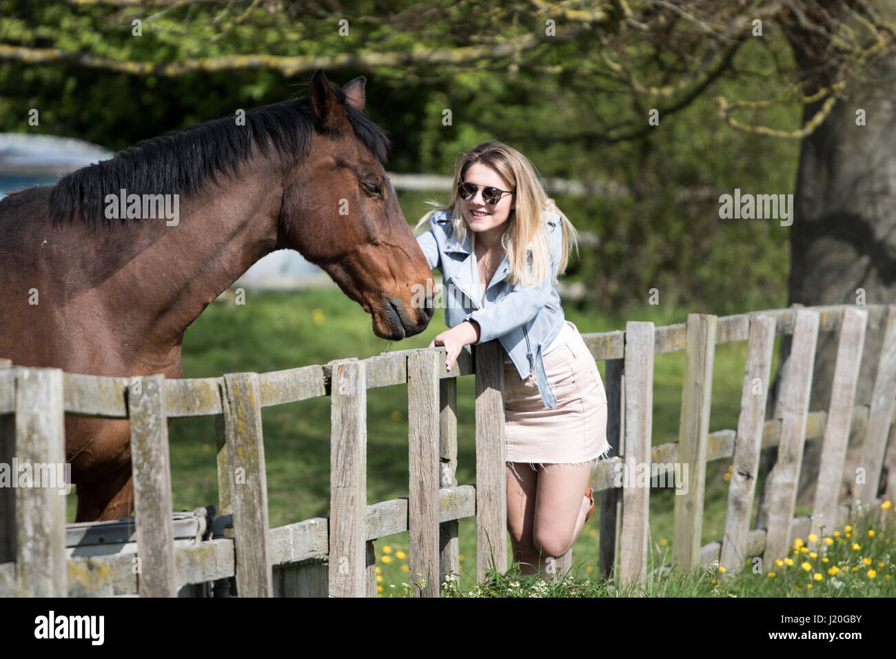Model Horse Stockfotos und -bilder Kaufen - Alamy