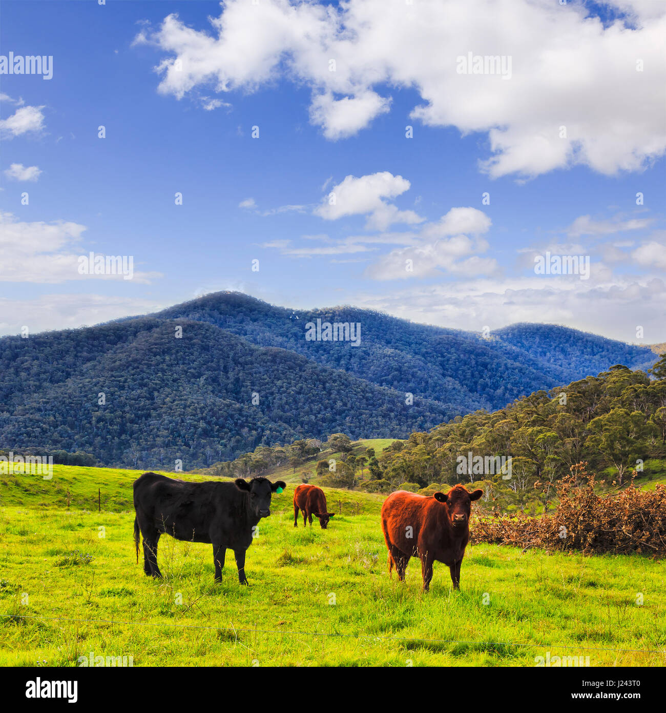 Himmel in den bergen Stockfotos und -bilder Kaufen - Alamy