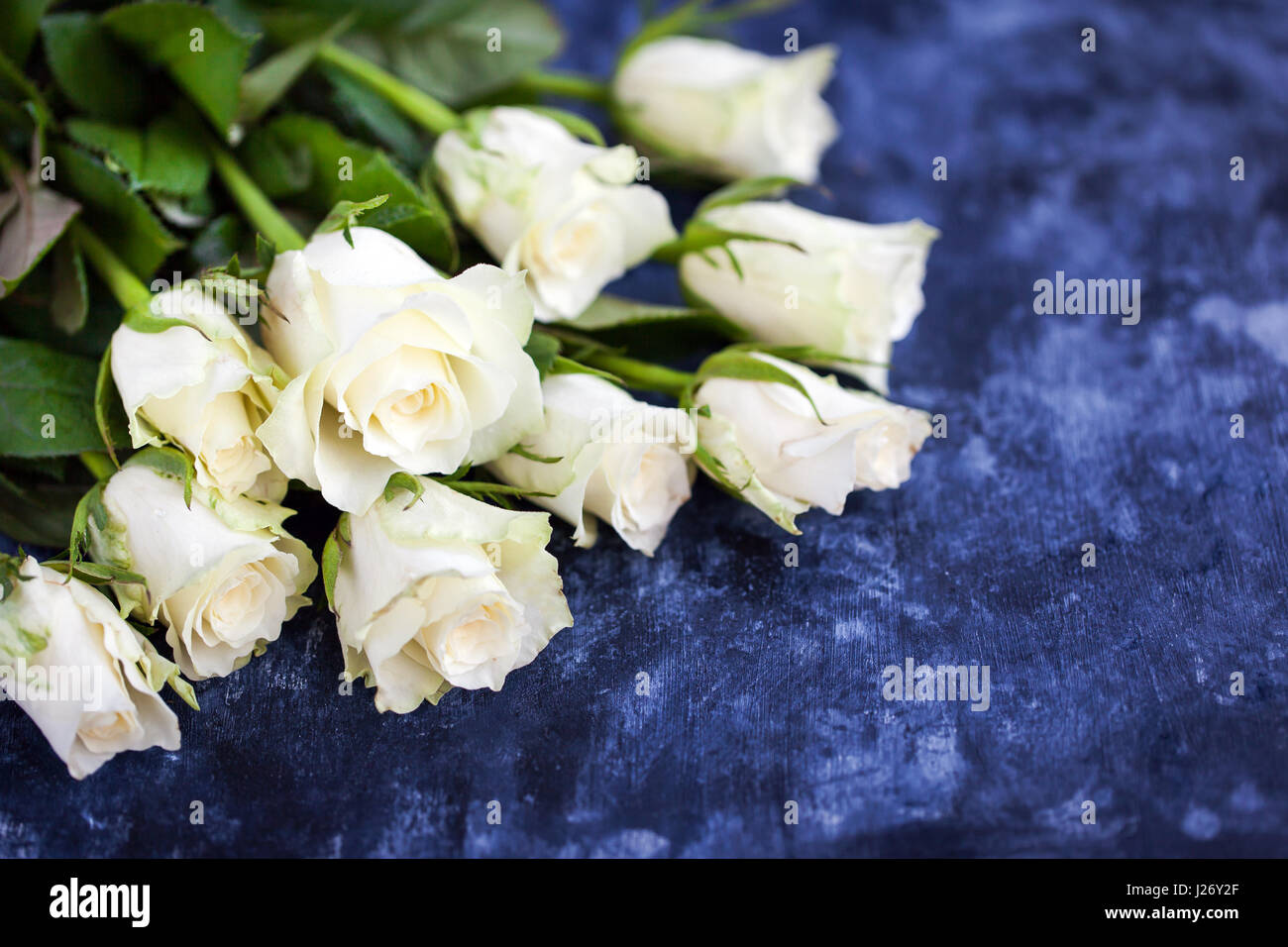 Blau Weisse Rosen