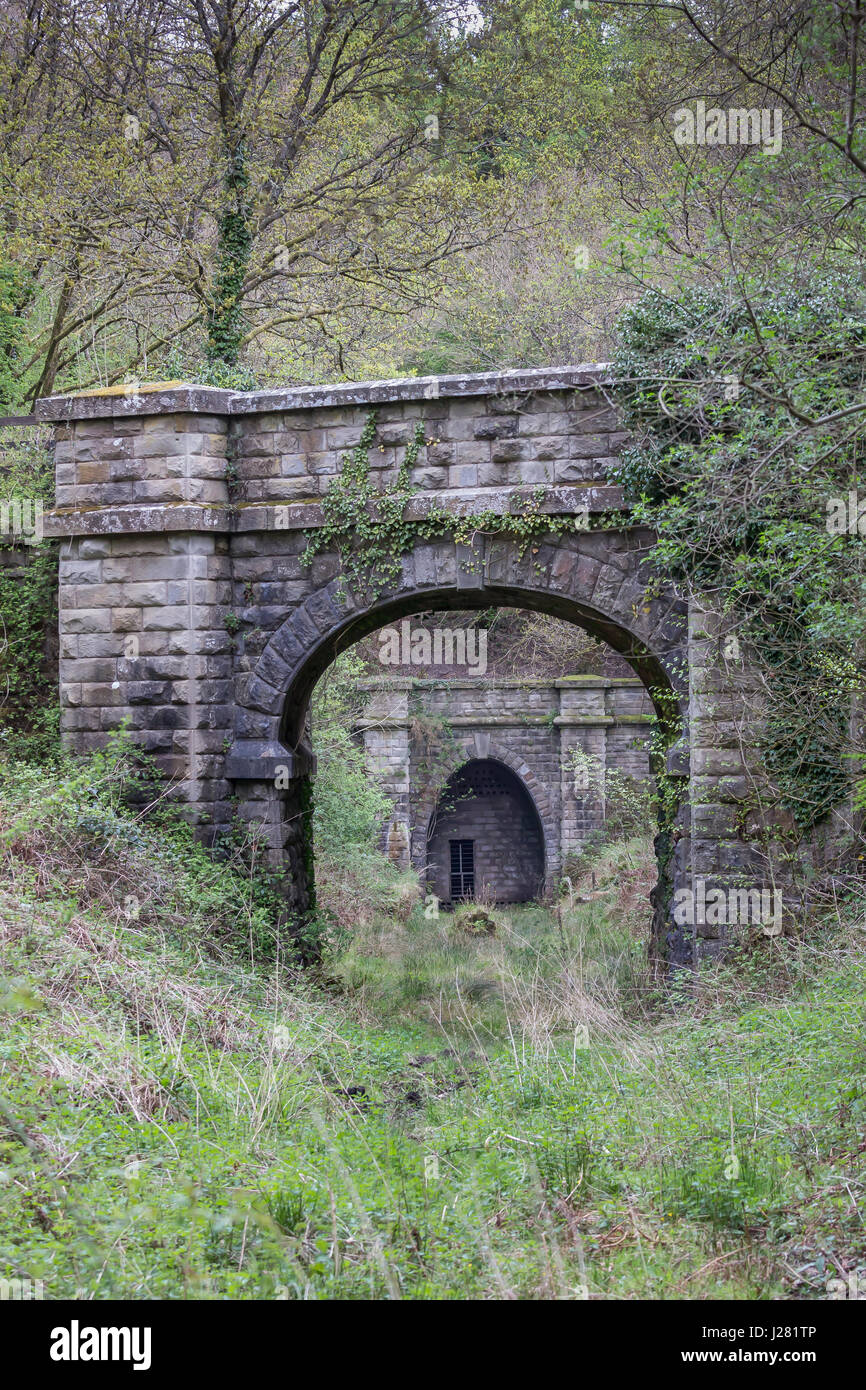 Mireystock eisenbahntunnel wald von dekan -Fotos und -Bildmaterial in ...