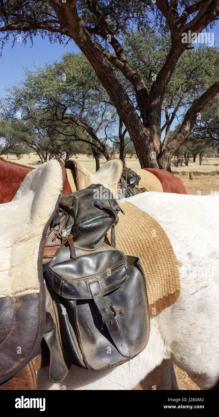Gamride -Fotos und -Bildmaterial in hoher Auflösung – Alamy