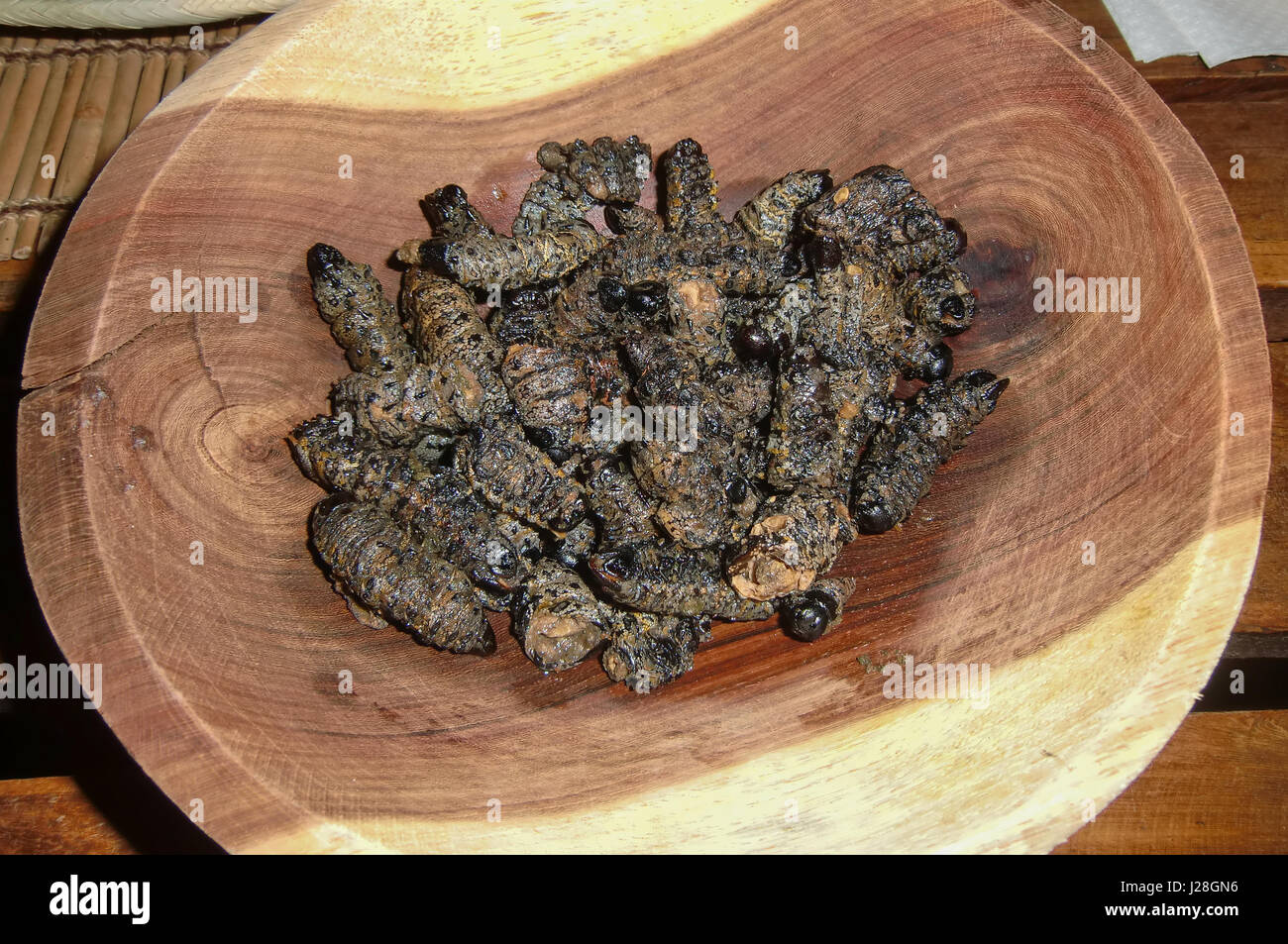 Namibia, Windhoek, frittierte Mopane Worms als traditionelles Essen ...