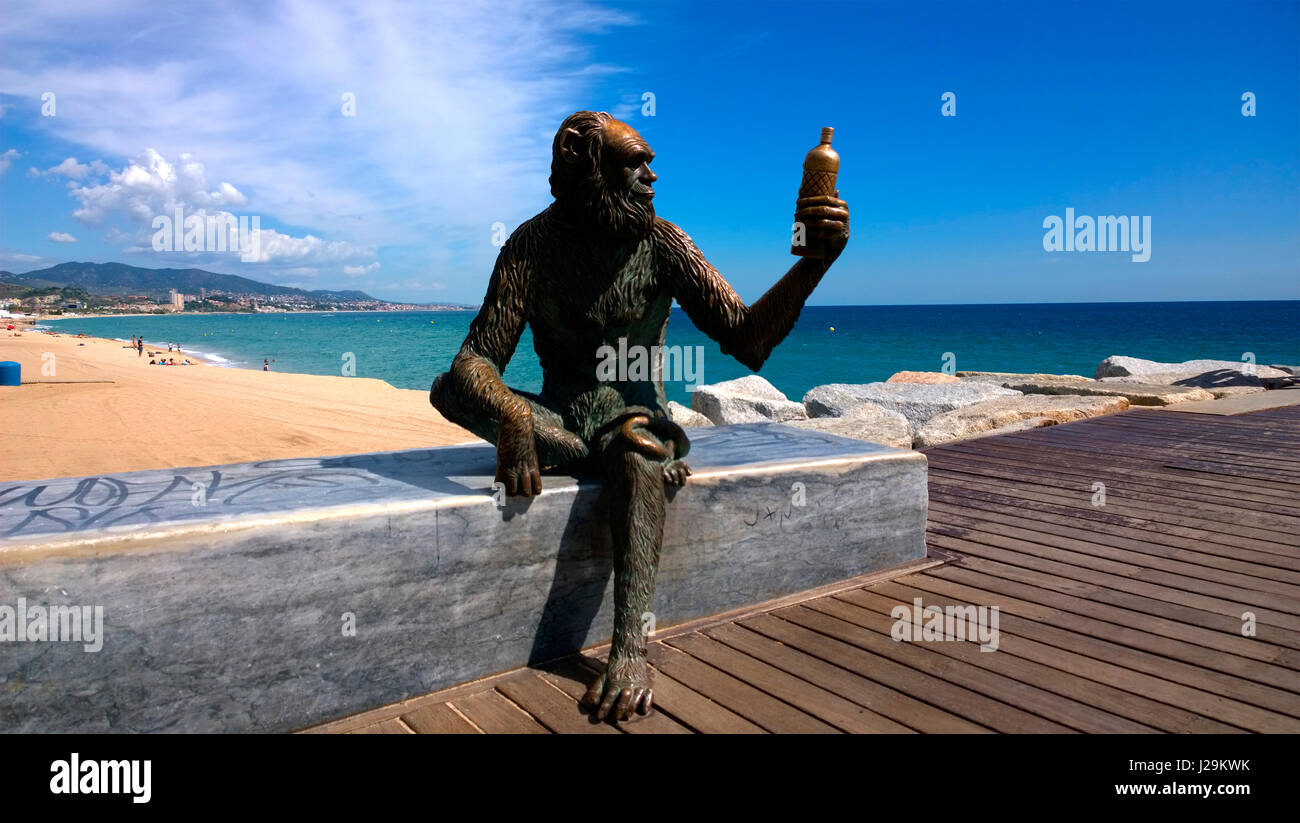 Anis del mono fabrik -Fotos und -Bildmaterial in hoher Auflösung – Alamy
