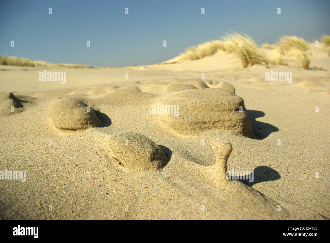 Wind am strand -Fotos und -Bildmaterial in hoher Auflösung – Alamy
