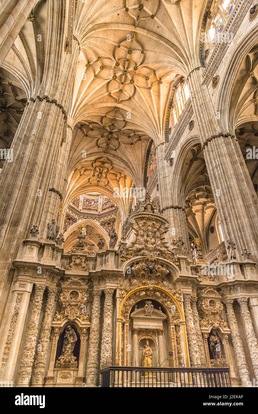 Gothic relief sculpture -Fotos und -Bildmaterial in hoher Auflösung – Alamy