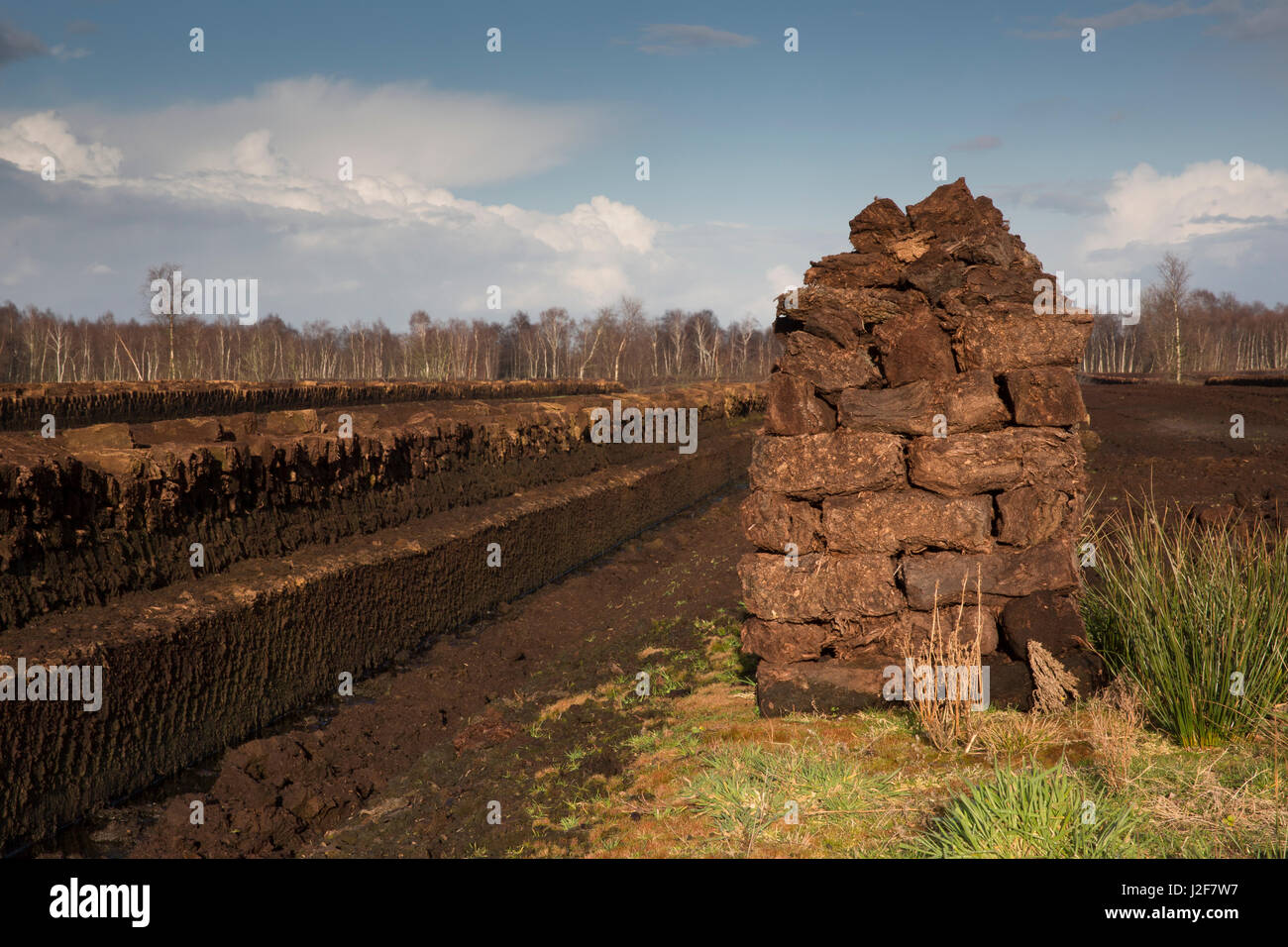 Torf graben -Fotos und -Bildmaterial in hoher Auflösung – Alamy