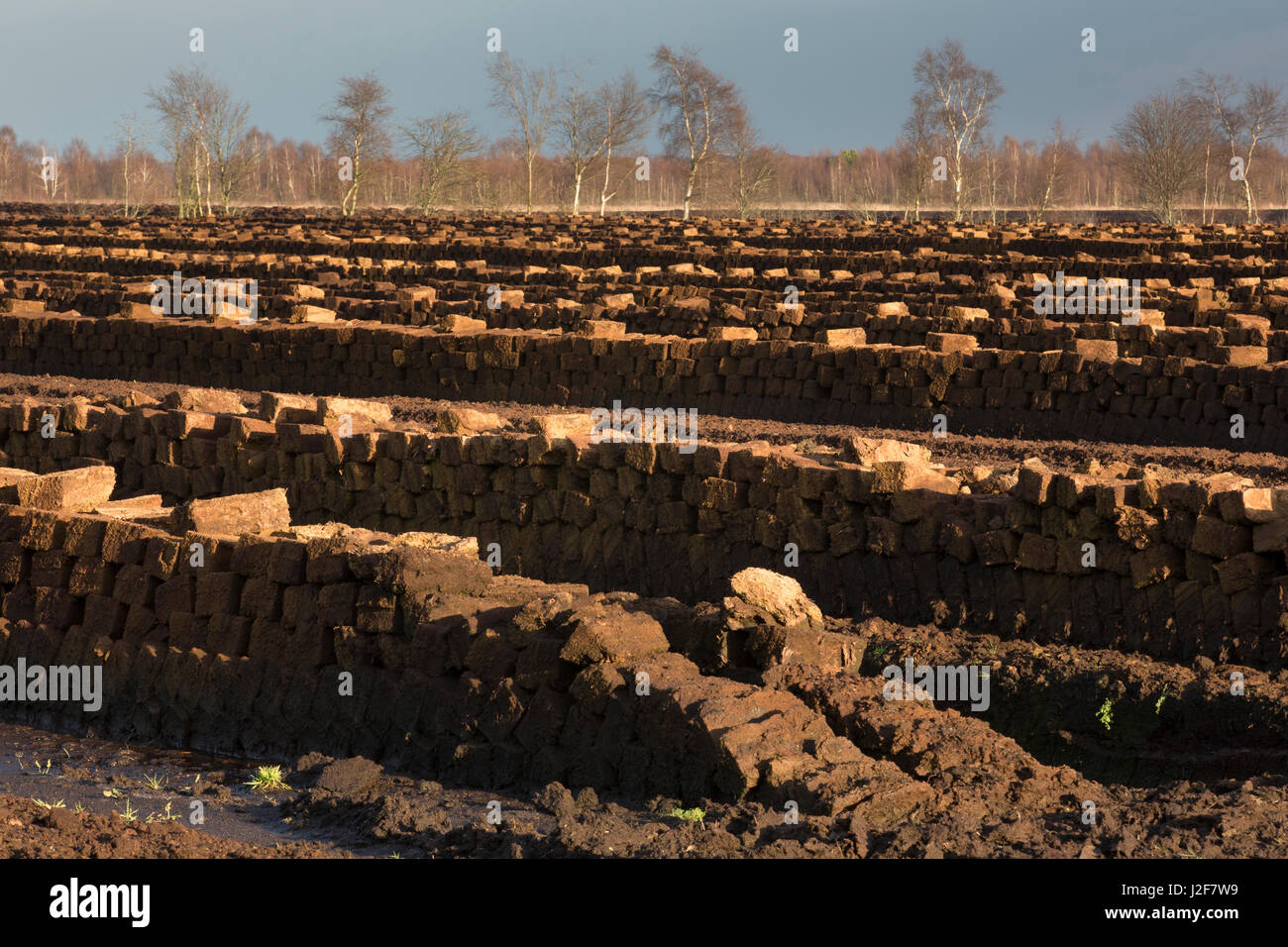 Torf graben -Fotos und -Bildmaterial in hoher Auflösung – Alamy