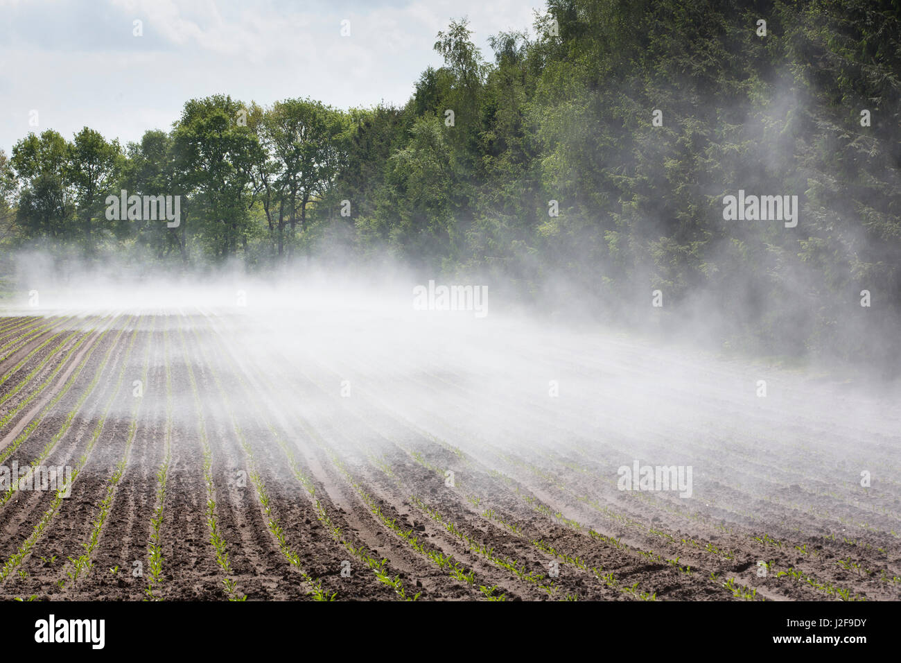 Sonnenschein wasserverdunstung -Fotos und -Bildmaterial in hoher ...