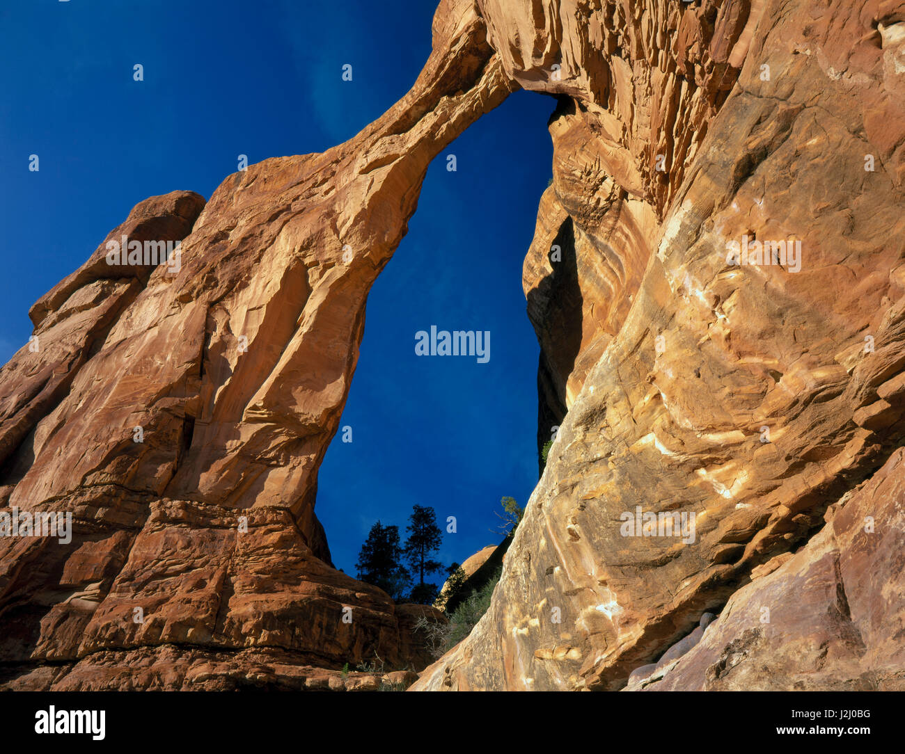 Utah. USA. Angel Arch in Arch Canyon. Manti-Lasal National Forest ...