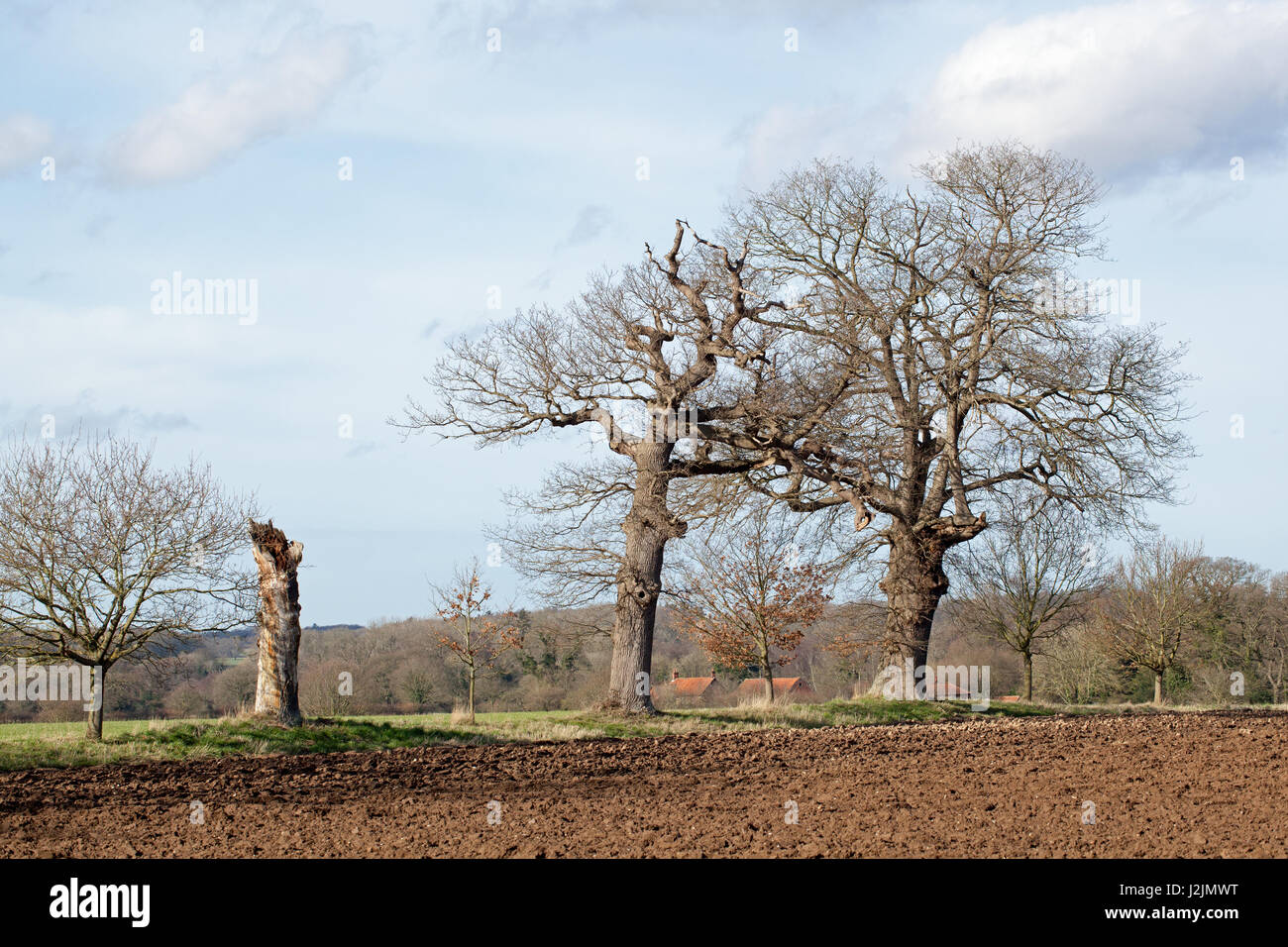 Ehemaliges feld -Fotos und -Bildmaterial in hoher Auflösung – Alamy