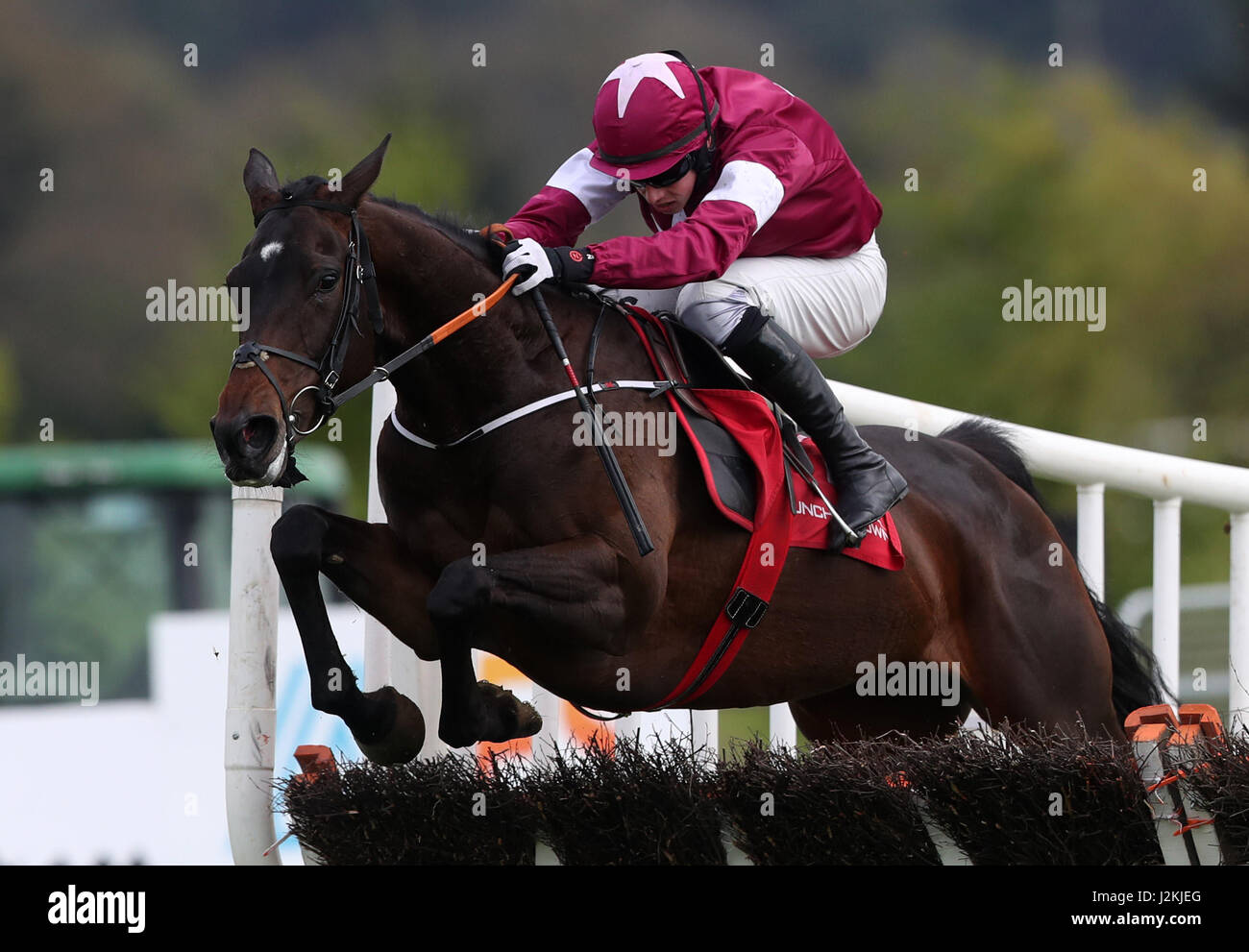 Irische hengstfarmen gewinnen ebf -Fotos und -Bildmaterial in hoher ...