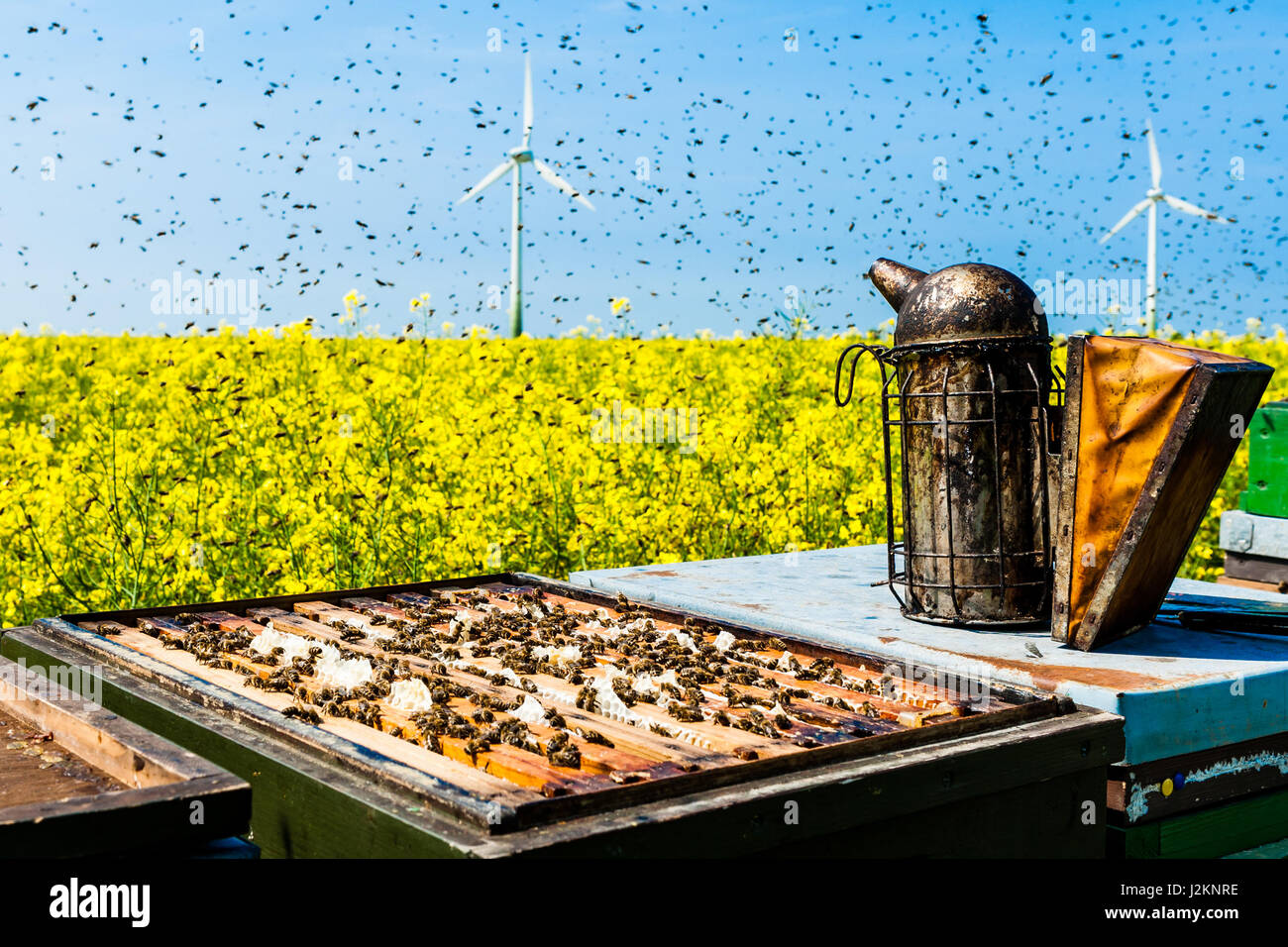 Mit vielen honigbienen Stockfotos und -bilder Kaufen - Alamy