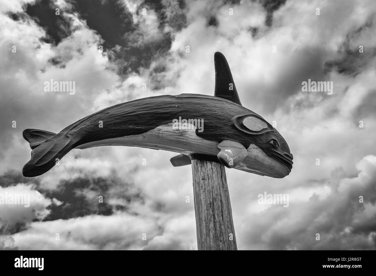 Killer whale statue -Fotos und -Bildmaterial in hoher Auflösung – Alamy
