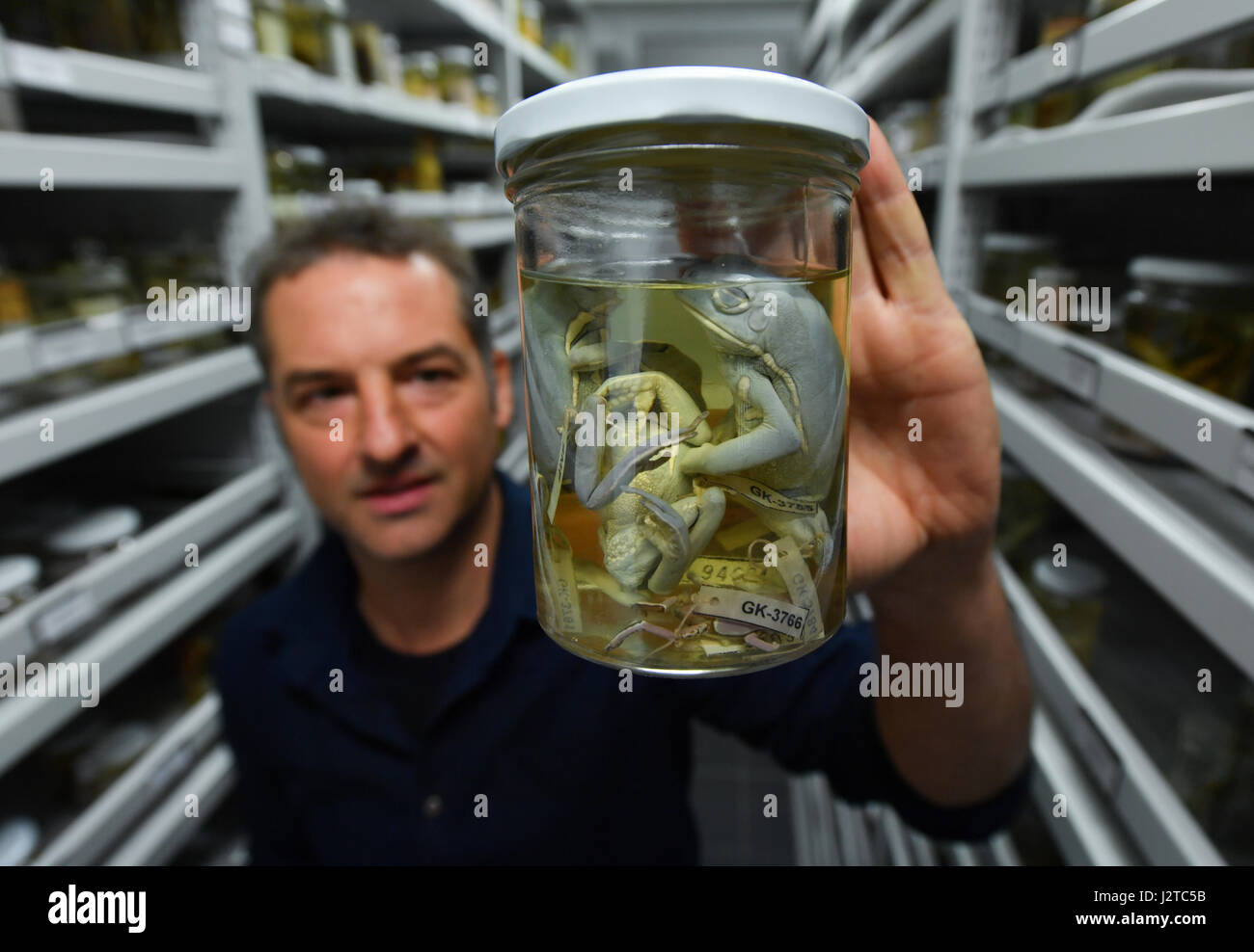 Dem forscher -Fotos und -Bildmaterial in hoher Auflösung – Alamy