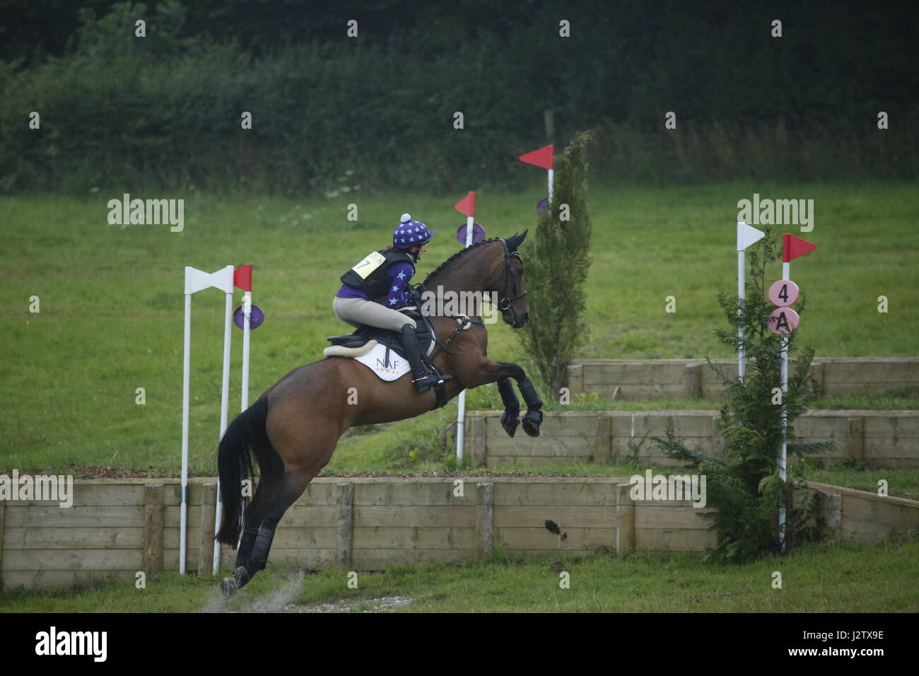 Action springender springender zaun -Fotos und -Bildmaterial in hoher ...