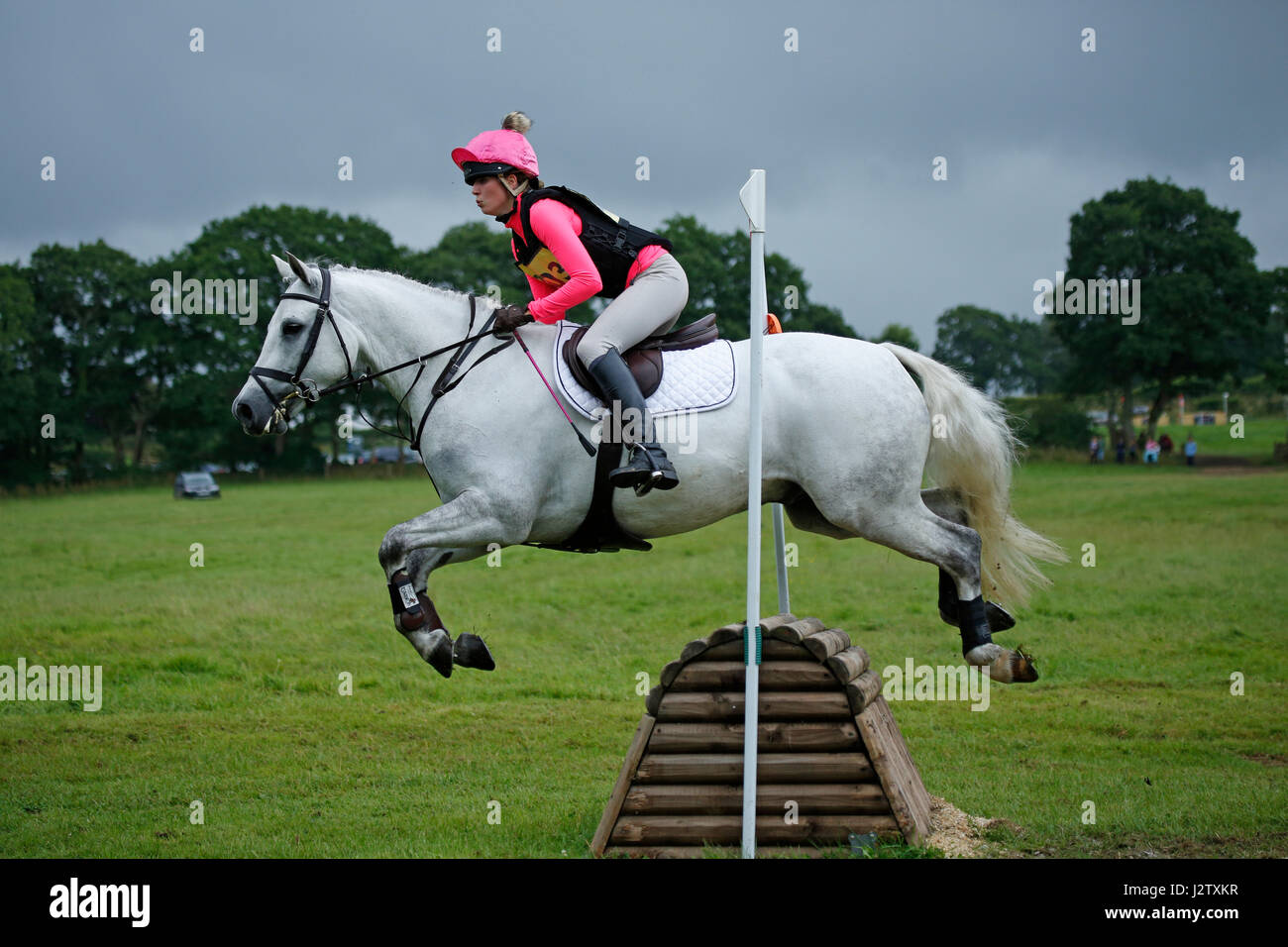 Pferde springen hindernisse -Fotos und -Bildmaterial in hoher Auflösung ...