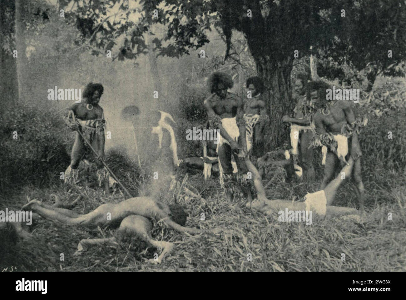 A cannibal feast -Fotos und -Bildmaterial in hoher Auflösung – Alamy