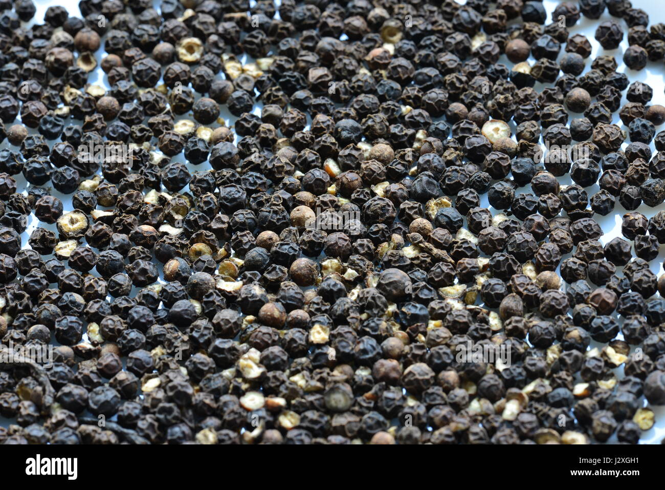 Doktor pfeffer -Fotos und -Bildmaterial in hoher Auflösung – Alamy