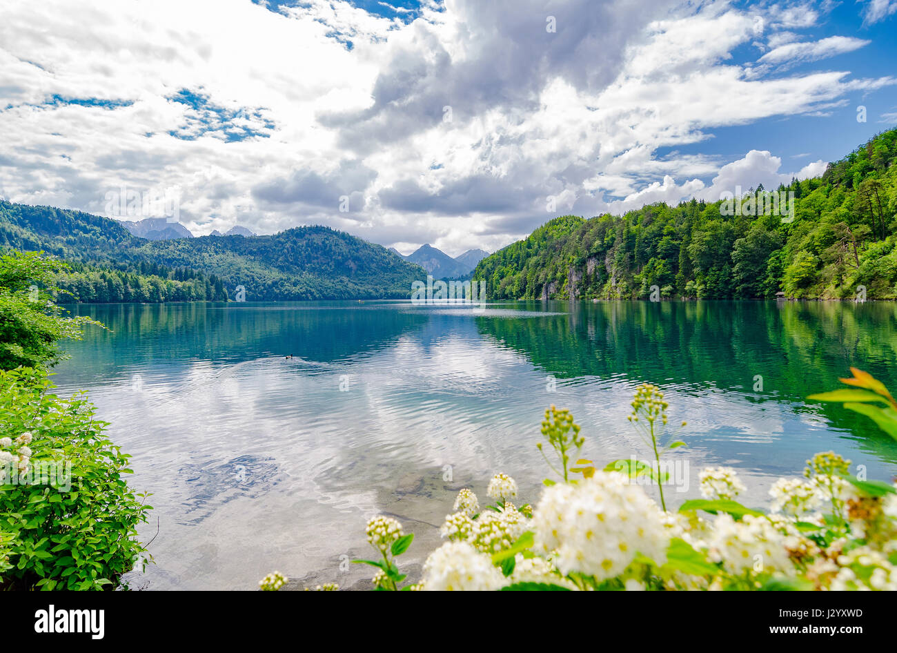 Alpsee mit blick auf schloss neuschwanstein und hohenschwangau -Fotos ...