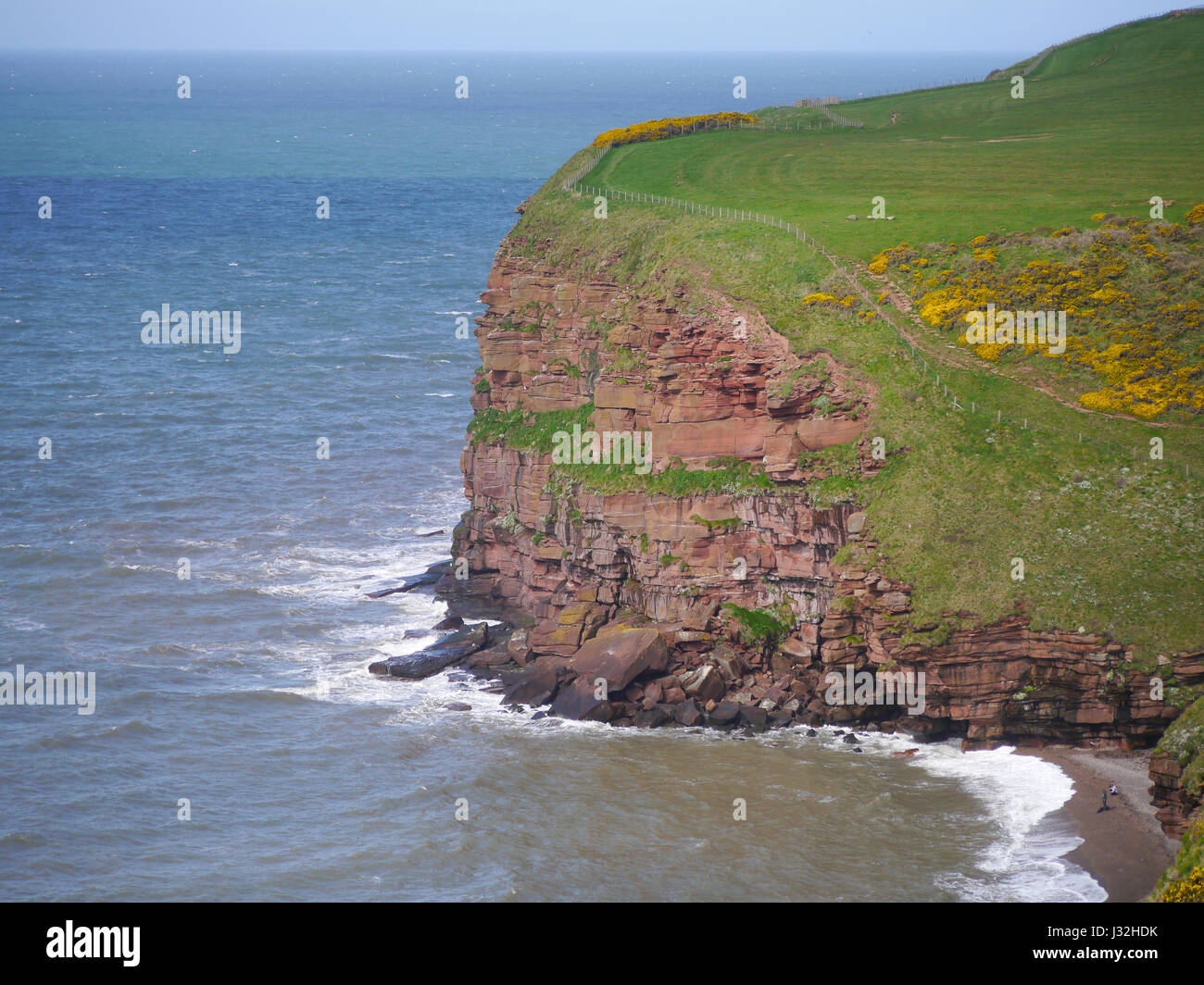 Die Felswand und Weg von Küste zu Küste St. Bees Head und Fleswick Bay ...