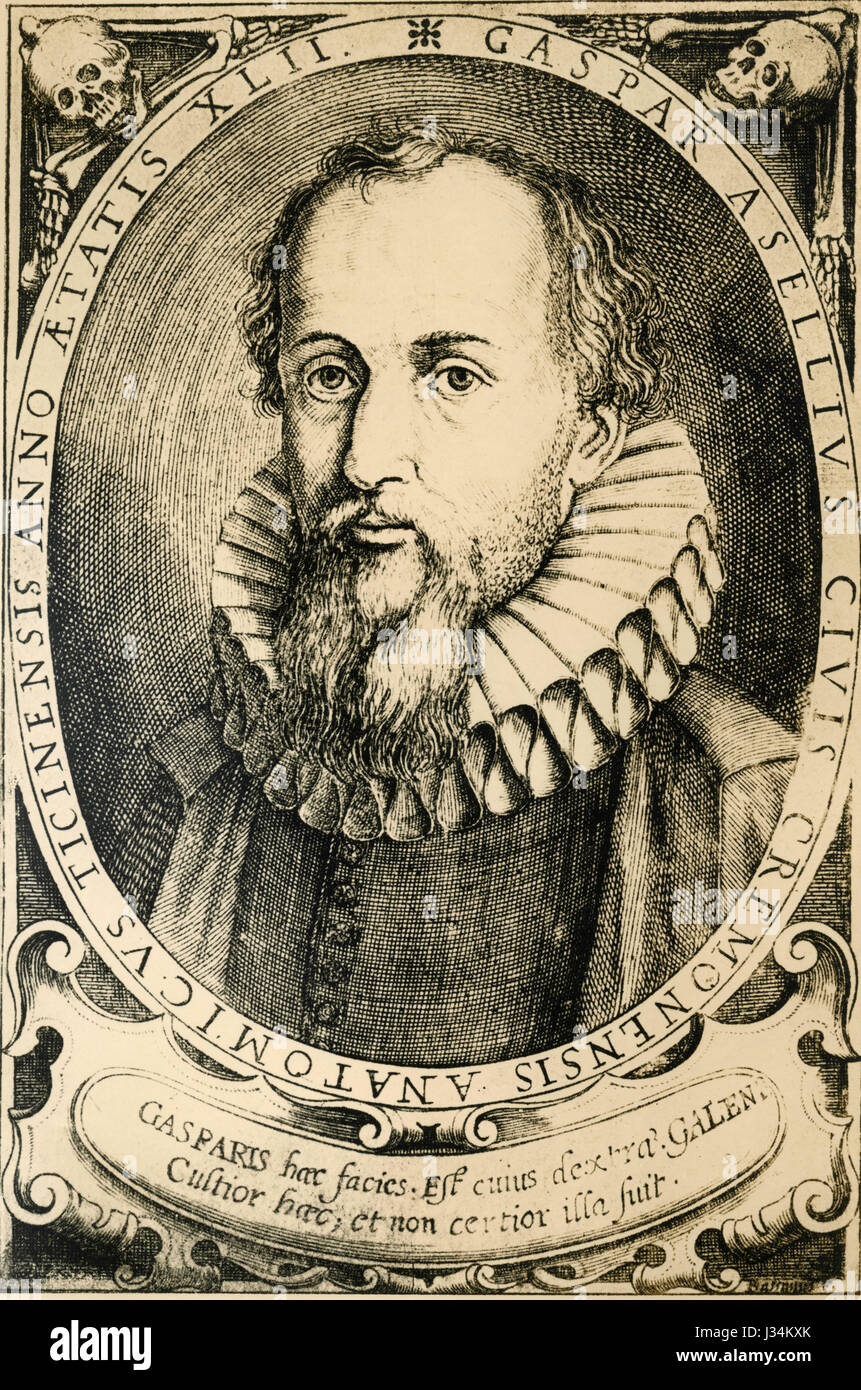 Doktor Gaspare Aselli Stockfotos und -bilder Kaufen - Alamy