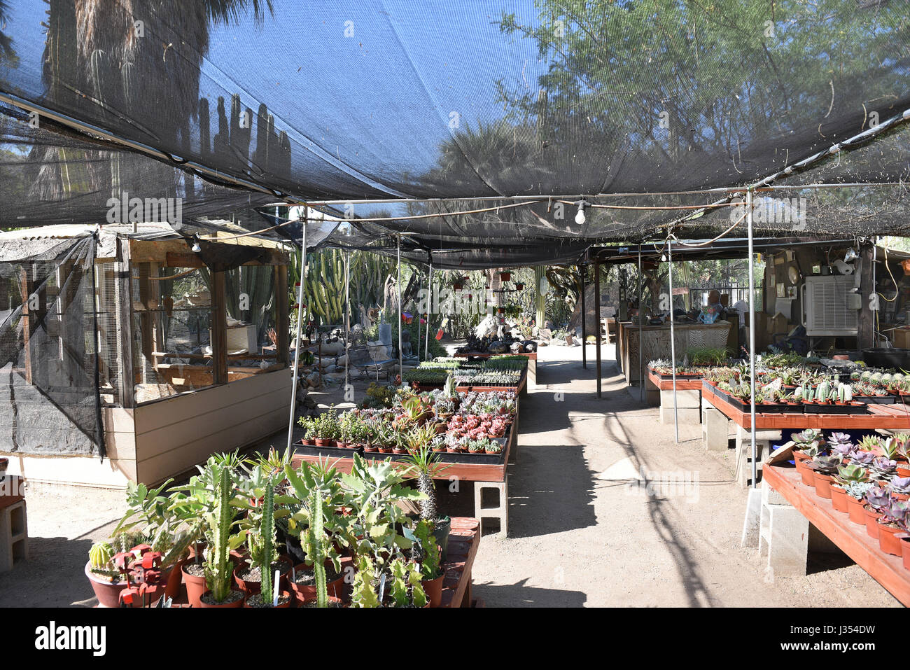 Moortens botanischer garten und kakteen -Fotos und -Bildmaterial in ...