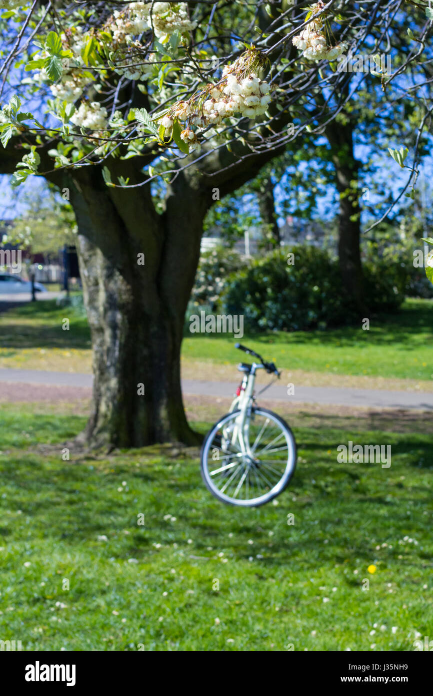 Dunbeth Park in Coatbridge, Nord Lanakrshire, Schottland, UK, Dienstag ...