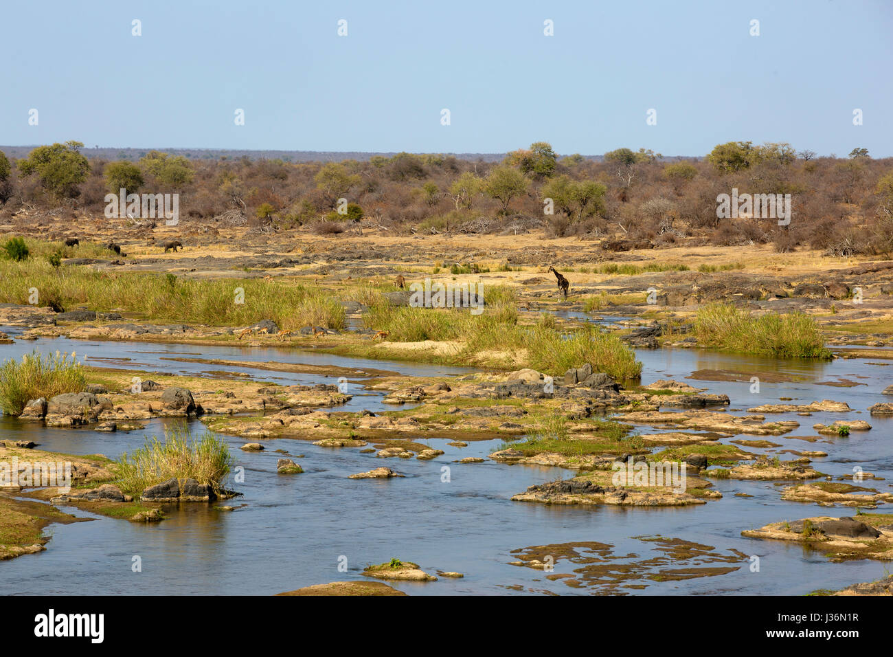 Letaba river -Fotos und -Bildmaterial in hoher Auflösung – Alamy