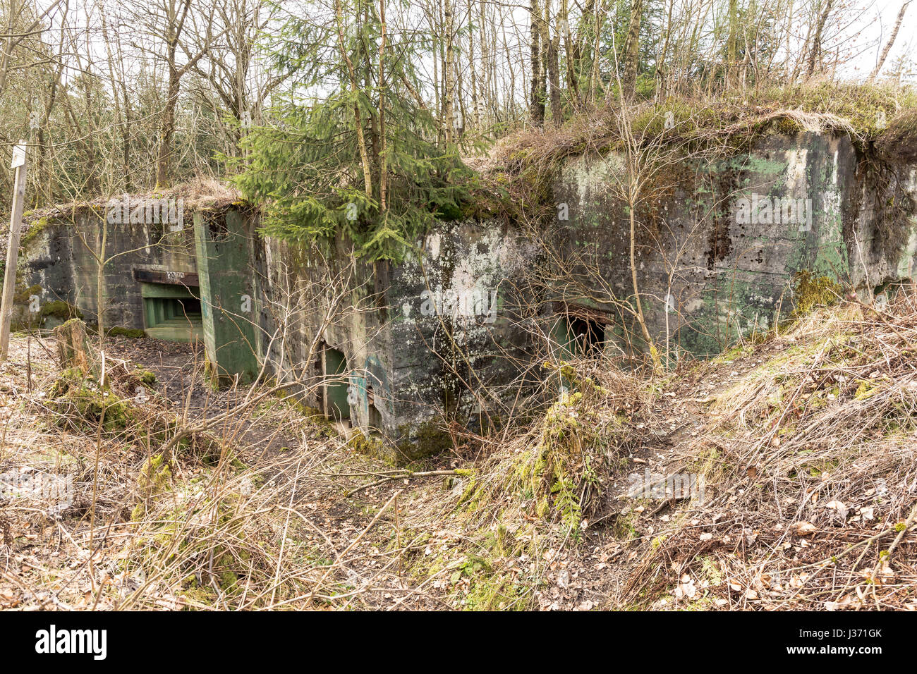 Bunker in der Hurtgenwald - Hurtgen Wald, Huertgenwald, Hürtgenwald ...