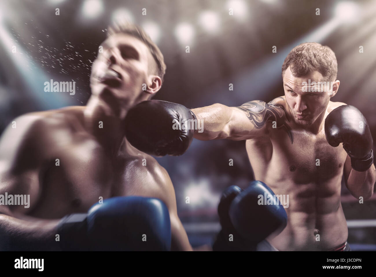 Professional boxer -Fotos und -Bildmaterial in hoher Auflösung – Alamy