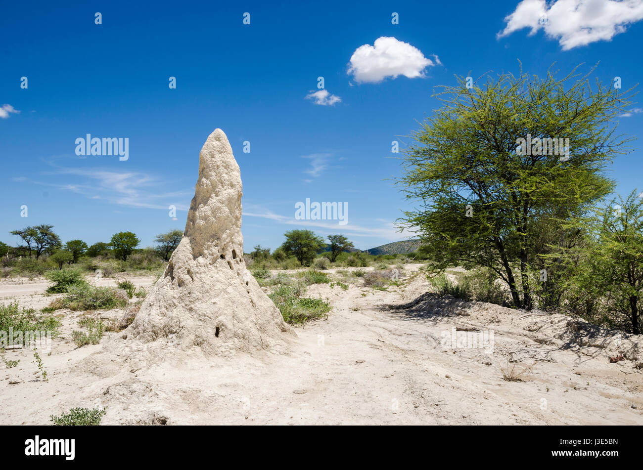 Termite mound in namibia -Fotos und -Bildmaterial in hoher Auflösung ...