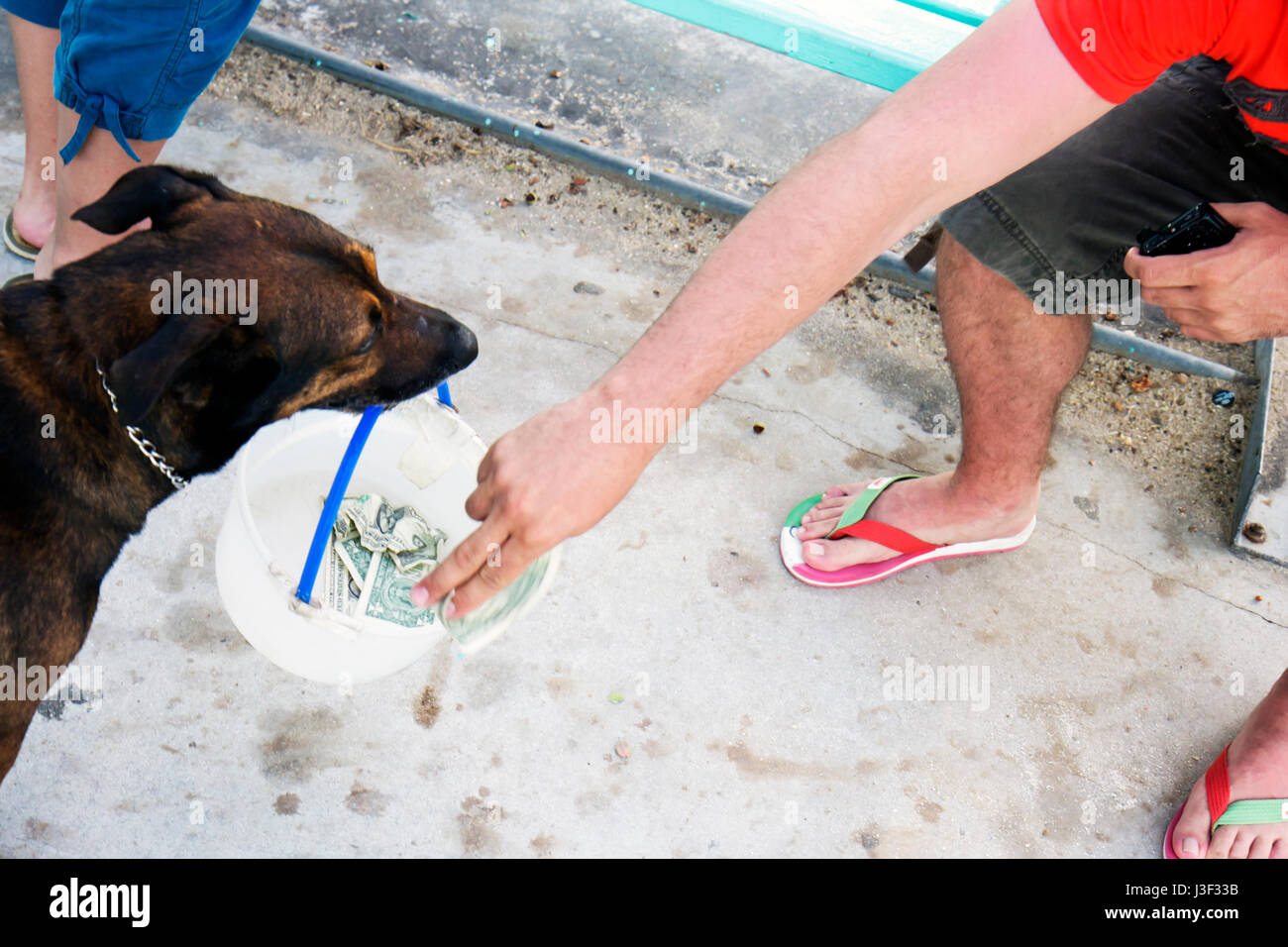 Geld geben obdachlosen -Fotos und -Bildmaterial in hoher Auflösung – Alamy