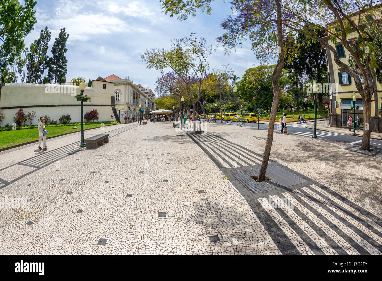 Avenida arriaga funchal madeira street -Fotos und -Bildmaterial in ...