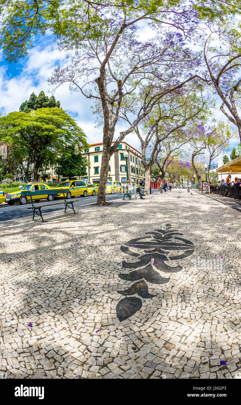 Die Avenida Arriaga Straße und Fußgängerzone in der Stadt Funchal ...