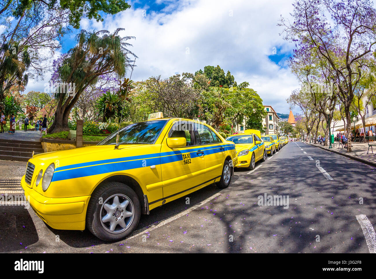 Taxi Funchal Madeira Stockfotos und -bilder Kaufen - Alamy