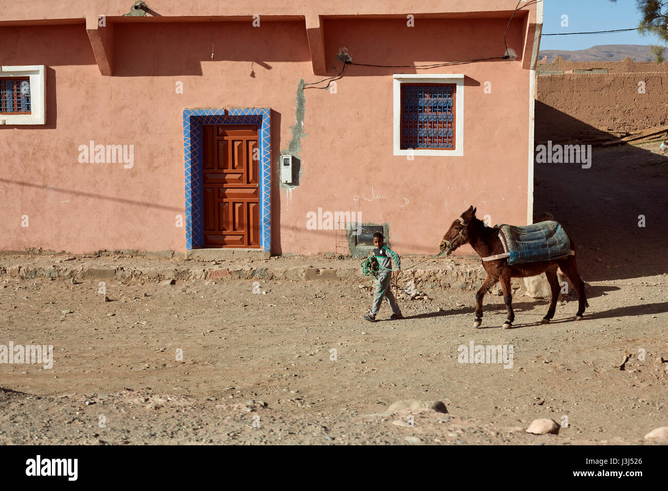 Transport Africa Donkey Stockfotos und -bilder Kaufen - Alamy