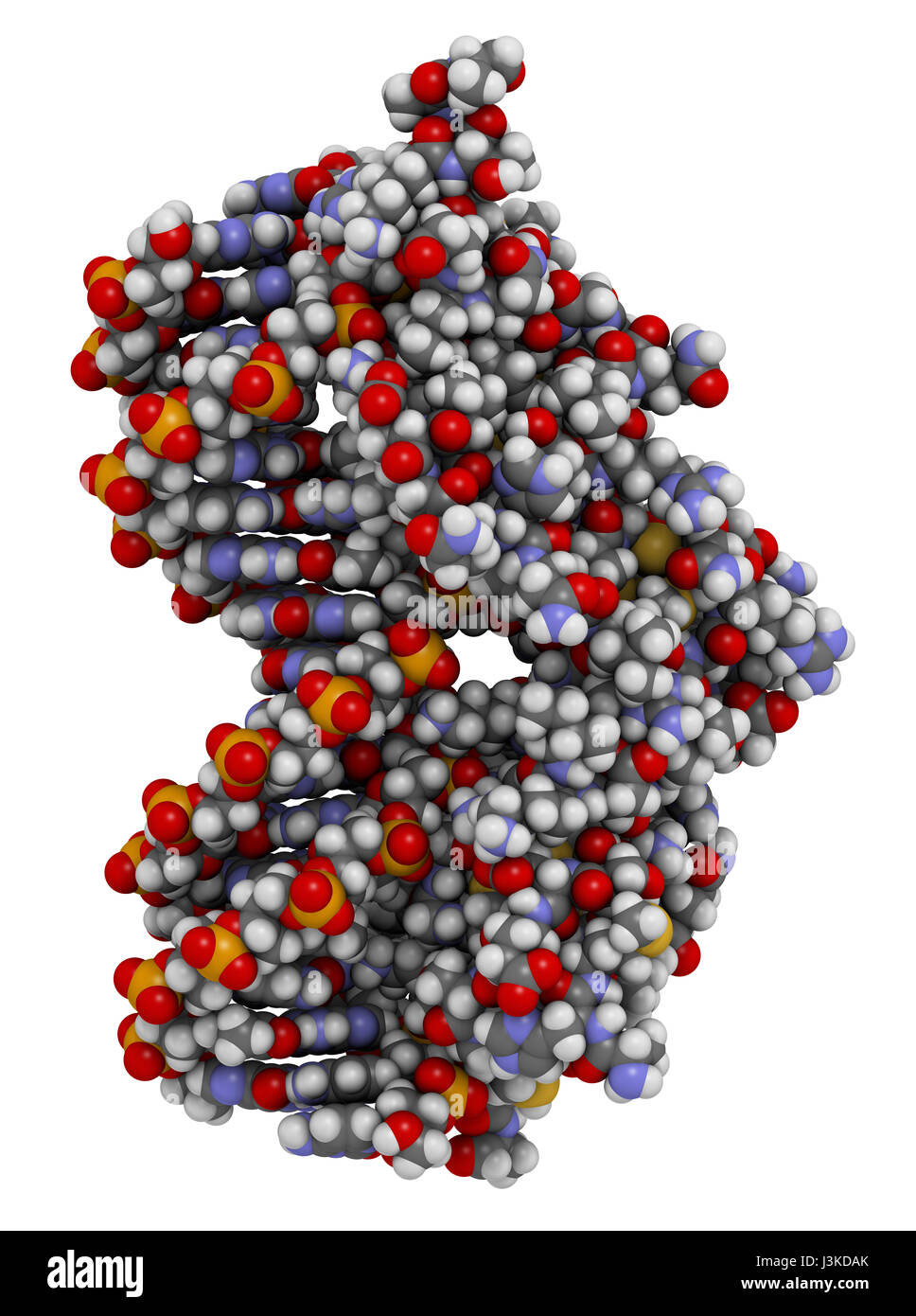 Dna doppelstrang -Fotos und -Bildmaterial in hoher Auflösung – Alamy