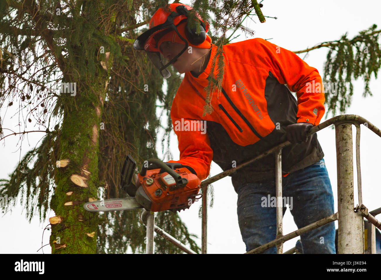 Einen baumstamm schneiden -Fotos und -Bildmaterial in hoher Auflösung ...