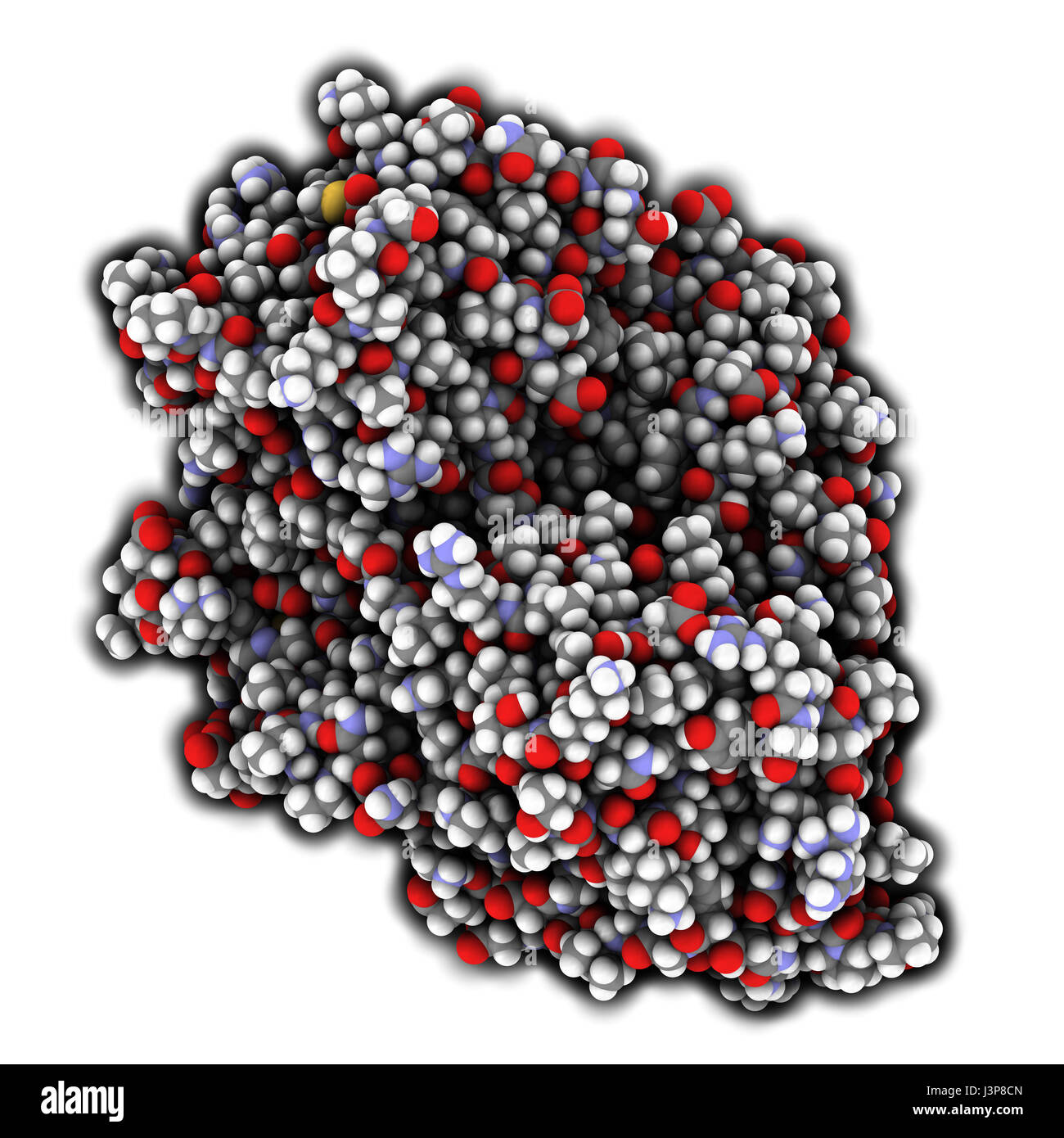 Firefly Luciferase Enzym. Protein für die Biolumineszenz von ...