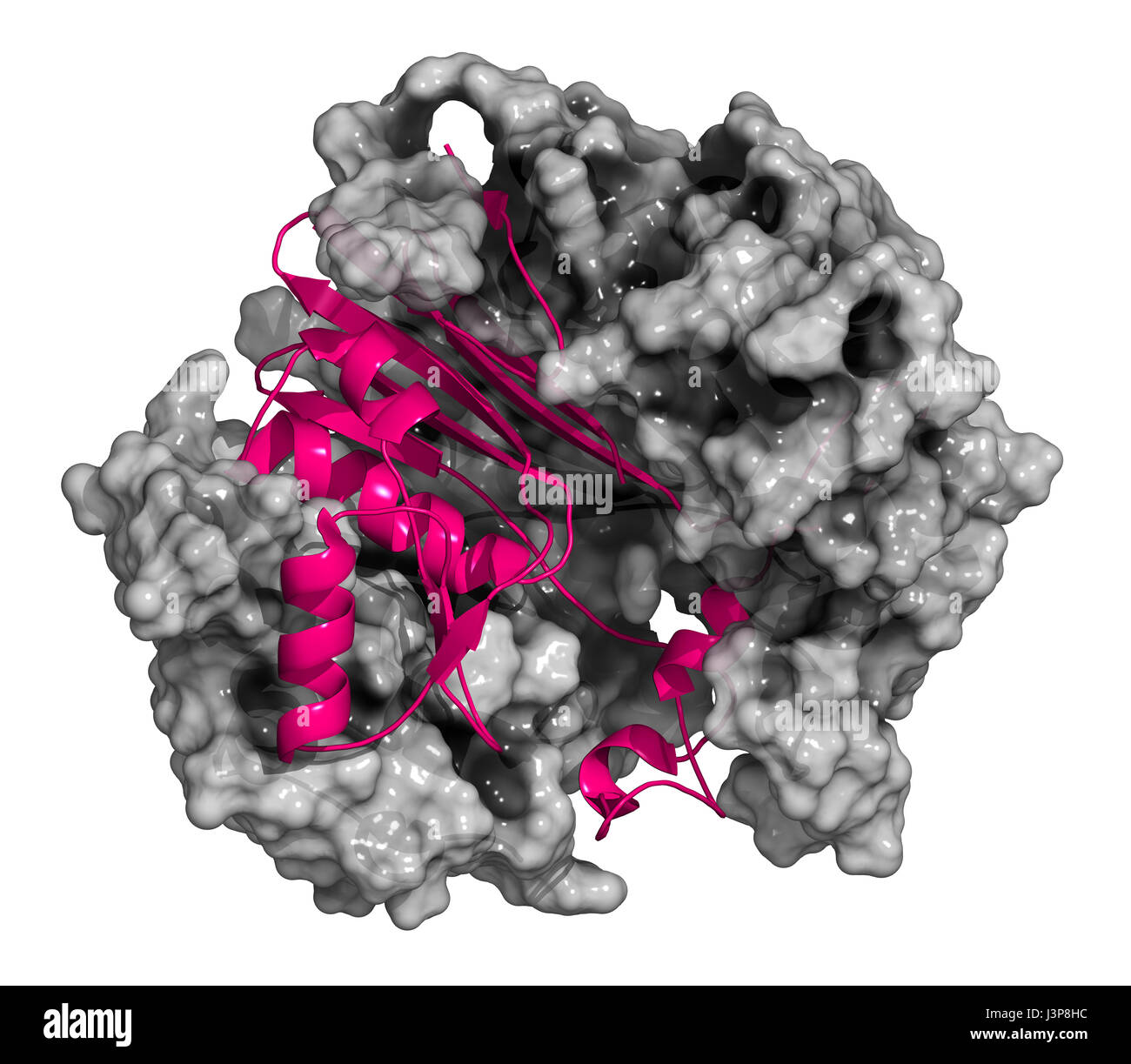 Gamma kette -Fotos und -Bildmaterial in hoher Auflösung – Alamy